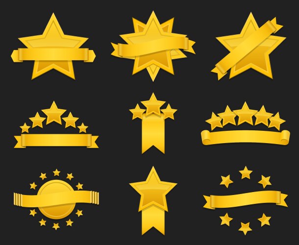 Shiny gold star Royalty Free Vector Image - VectorStock