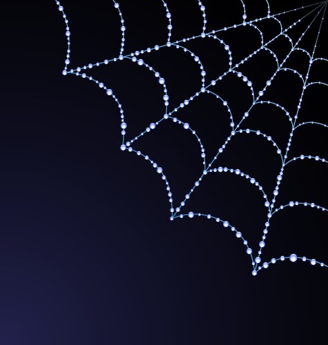 Spider Web Vector Images (over 37,000)