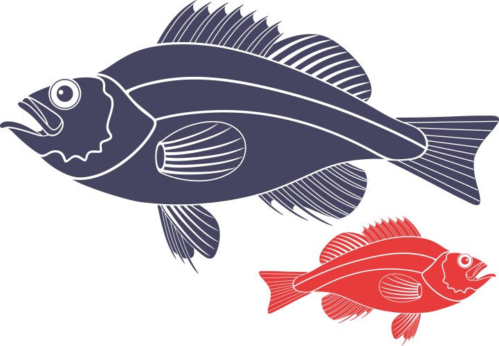 Perch Royalty Free Vector Image - VectorStock