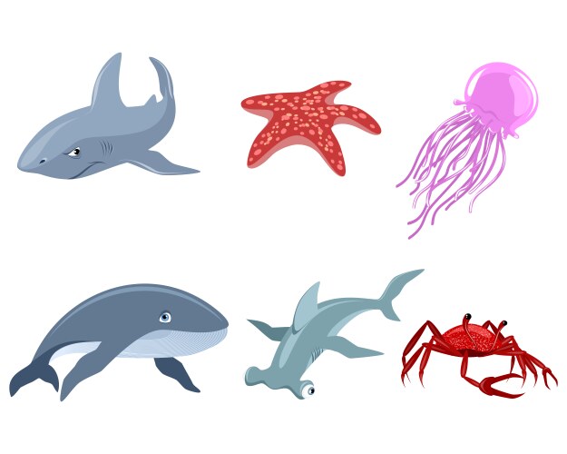 Ocean animals cute fish orca shark and blue Vector Image