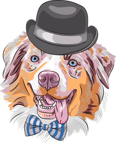 Australian Shepherd Vector Images (over 640)