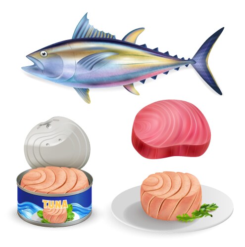 Tuna Vector Images (over 30,000)