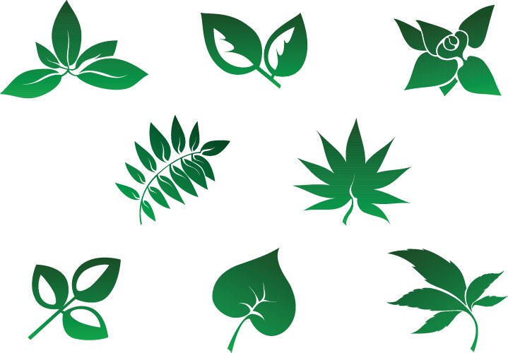 Botanical leaf icon set in black outline Vector Image