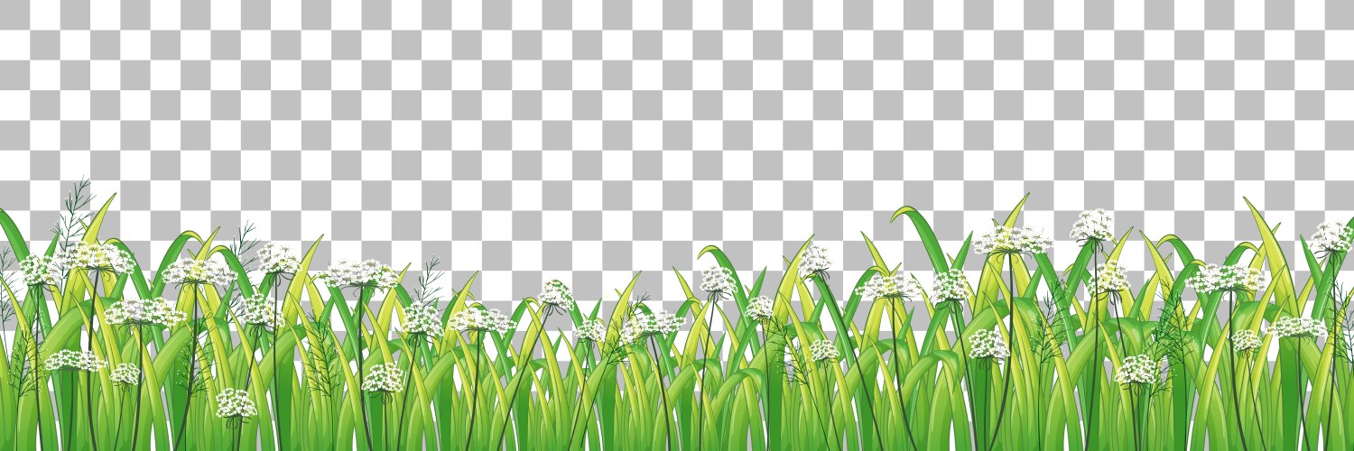 Grass and plants on transparent background Vector Image