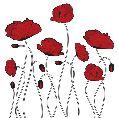 Poppy Vector Images (over 25,000)