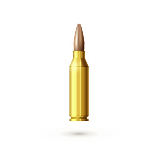 Shot from a gun bullet Royalty Free Vector Image