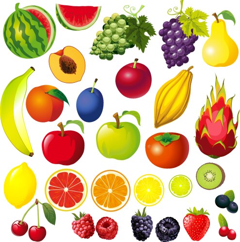 Mix Fruit Vector Images (over 26,000)