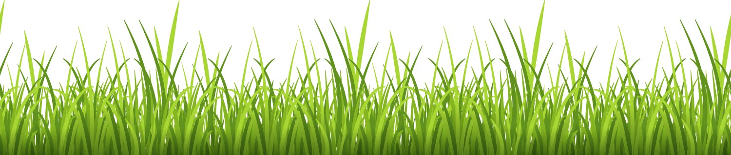 Wheat and grass Royalty Free Vector Image - VectorStock