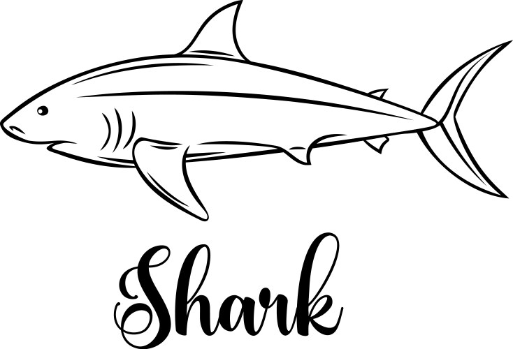 Shark Outline Vector Images (over 6,100)