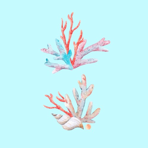 Watercolor of seashells with coral Royalty Free Vector Image