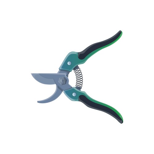 Gardener cuts a tree pruning bushes and garden Vector Image