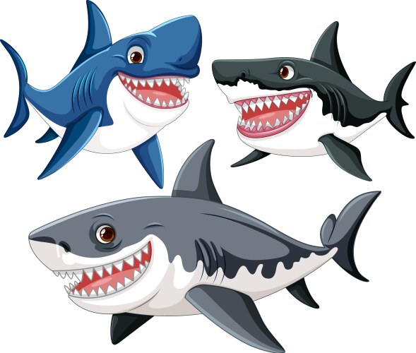 Grey Shark Vector Images (over 350)