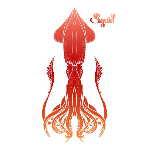 Squid Vector Images (over 19,000)