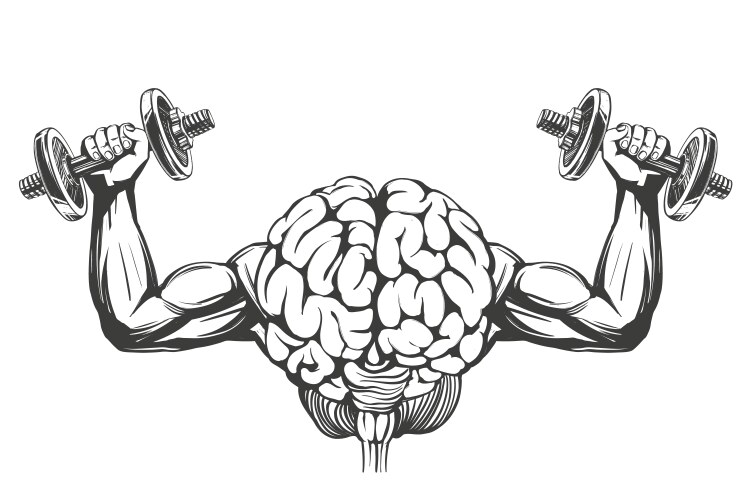 Brain with strong hands training icon Royalty Free Vector