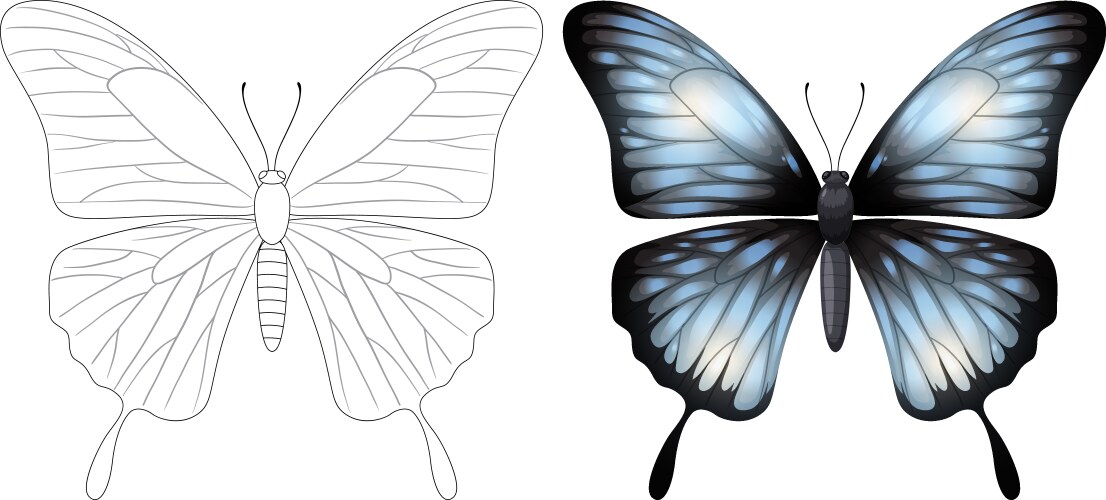 Butterfly Outline Vector Images (over 24,000)