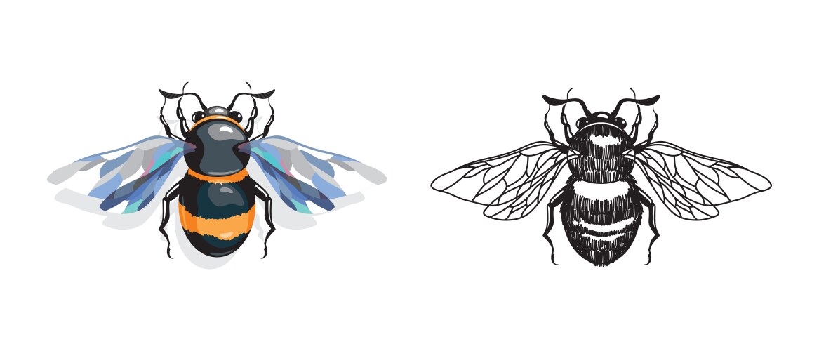 Bee Drawing Vector Images (over 23,000)