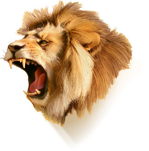 Lion Vector Images (over 110,000)