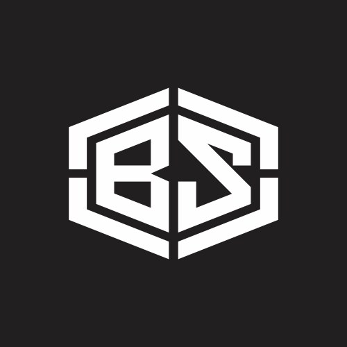 Bs logo monogram with pentagon shape style design Vector Image
