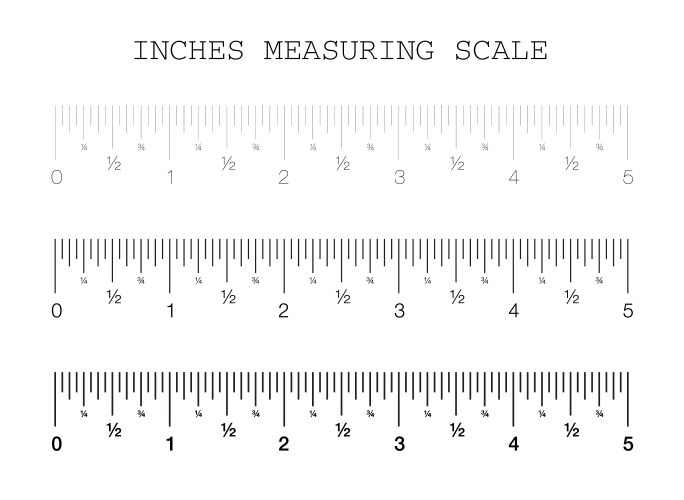 Measuring rulers school ruler metric scale Vector Image