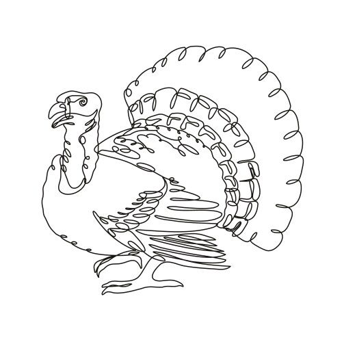 Wild turkey Vector Images & Graphics for Commercial Use | VectorStock