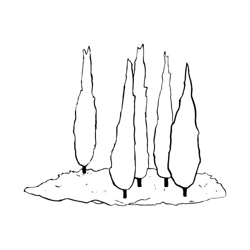 Cypress Trees Vector Images (over 4,100)