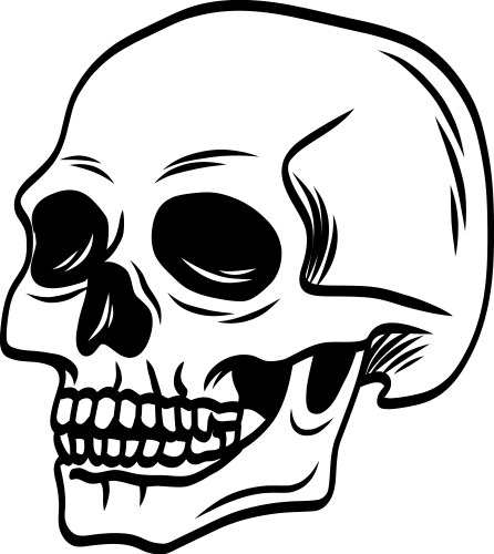 Skull Line Drawing Vector Images (over 16,000)