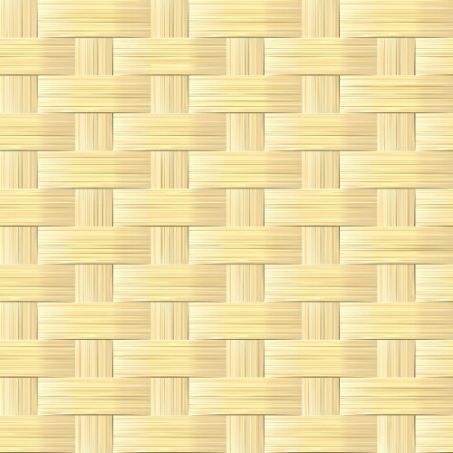 Straw texture Royalty Free Vector Image - VectorStock
