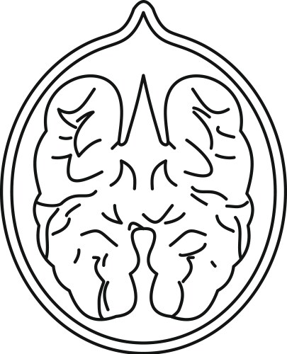 Walnut isolated outline Royalty Free Vector Image