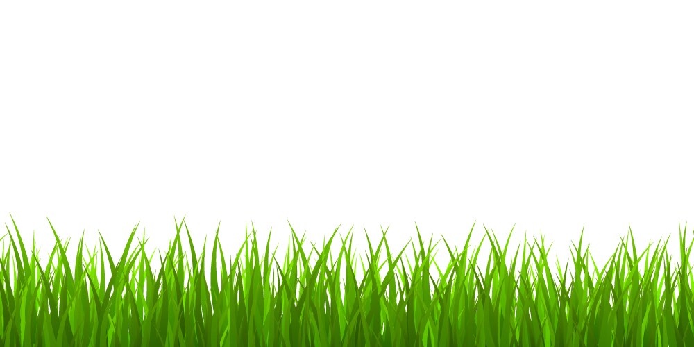 Spring grass seamless border floral Royalty Free Vector