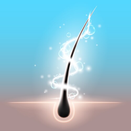 Hair Vector Images (over 520,000)