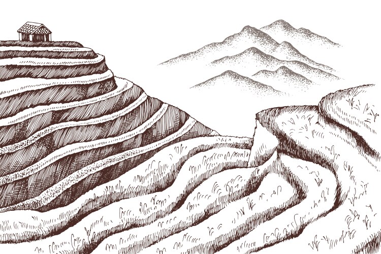Rice Terraces Vector Images (over 430)