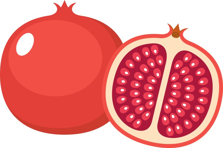 Pomegranate Royalty Free Vector Image - VectorStock