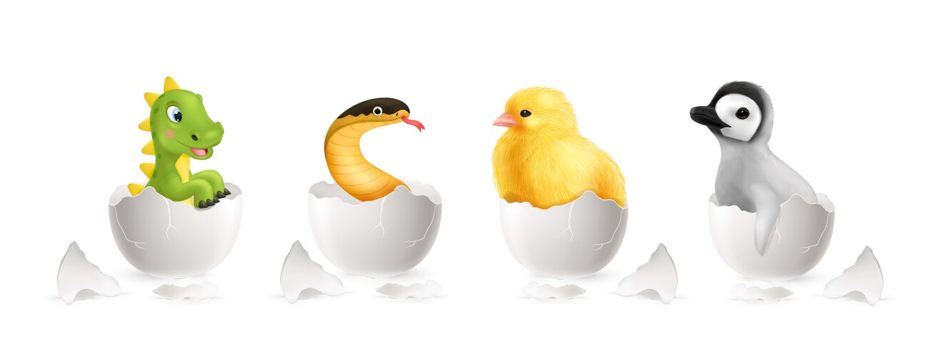 Snake Egg Hatching Vector Images (over 100)