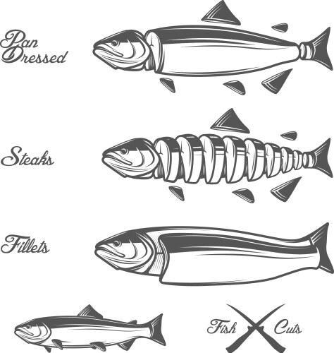 American cuts of beef Royalty Free Vector Image