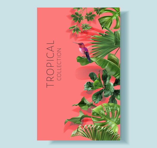 Hummingbird Border Vector Images (over 140)