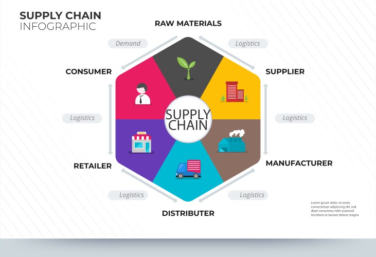 Human resource infographic concept Royalty Free Vector Image