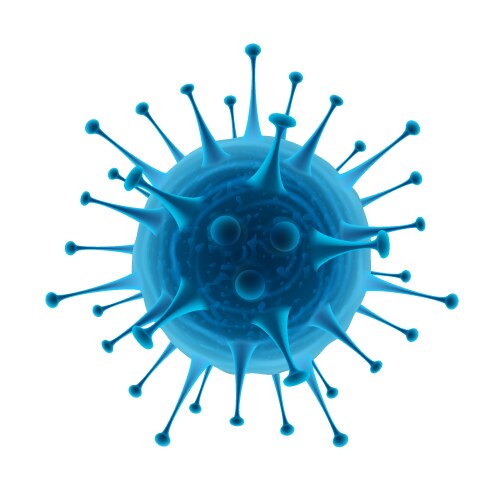 Structure of the influenza virus infographics Vector Image