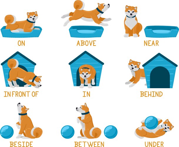 Preposition learning english prepositions Vector Image