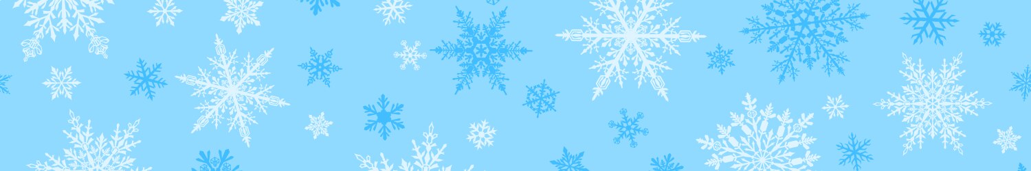 Christmas banner with snowflakes Royalty Free Vector Image