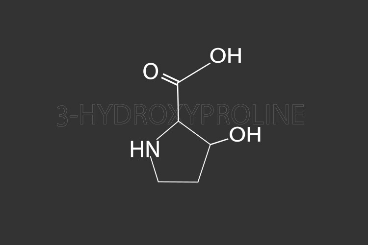 Purine Pyrimidine Vector Images (31)