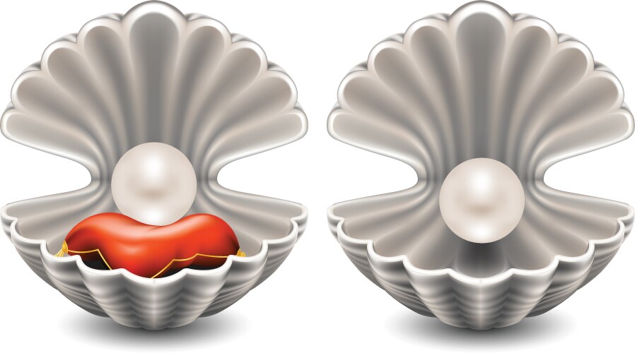 Oyster Pearl Vector Images (over 4,200)