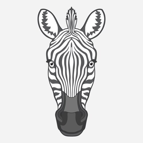 Zebra Cartoon Vector Images (over 14,000)