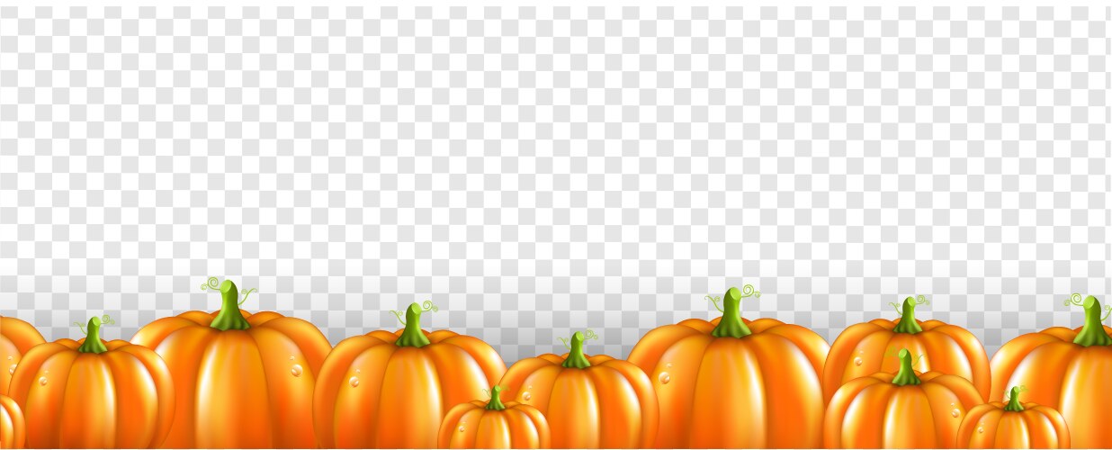 Pumpkins border Royalty Free Vector Image - VectorStock