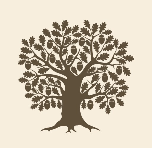 Oak Trees Vector Images (over 57,000)