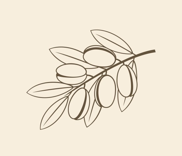 Argan Oil Vector Images (over 1,300)