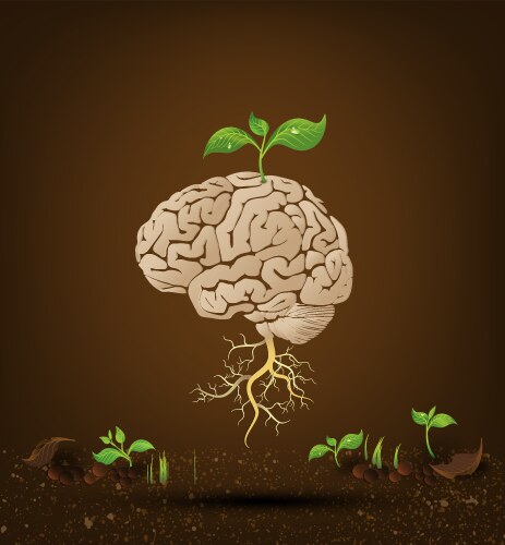 Brain outline Royalty Free Vector Image - VectorStock