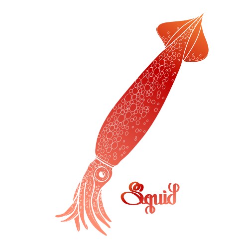 Squid Royalty Free Vector Image - VectorStock