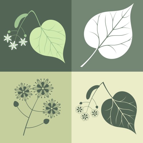 Lime Vector Images (over 240,000)