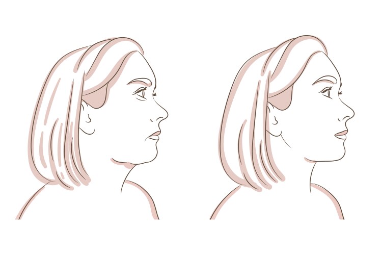 Chin Vector Images (over 5,400)