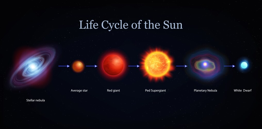 Sun and all planets Royalty Free Vector Image - VectorStock